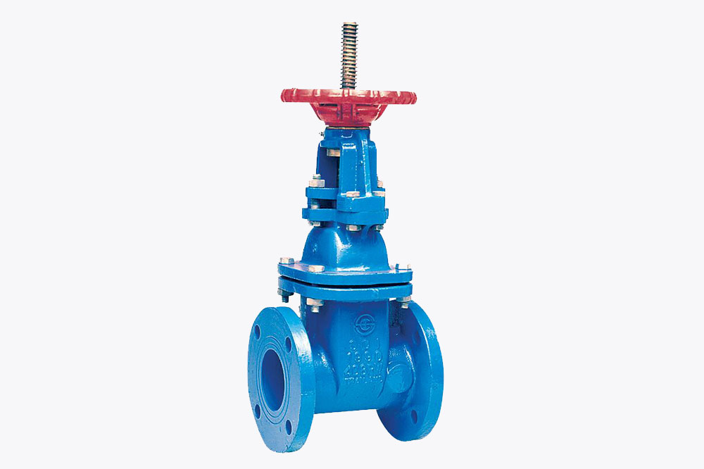Watts Valves - Expert Power Saudi Arabia